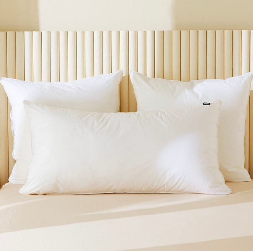 Oli max - Oreiller XXL, oreiller grande taille | Wopilo